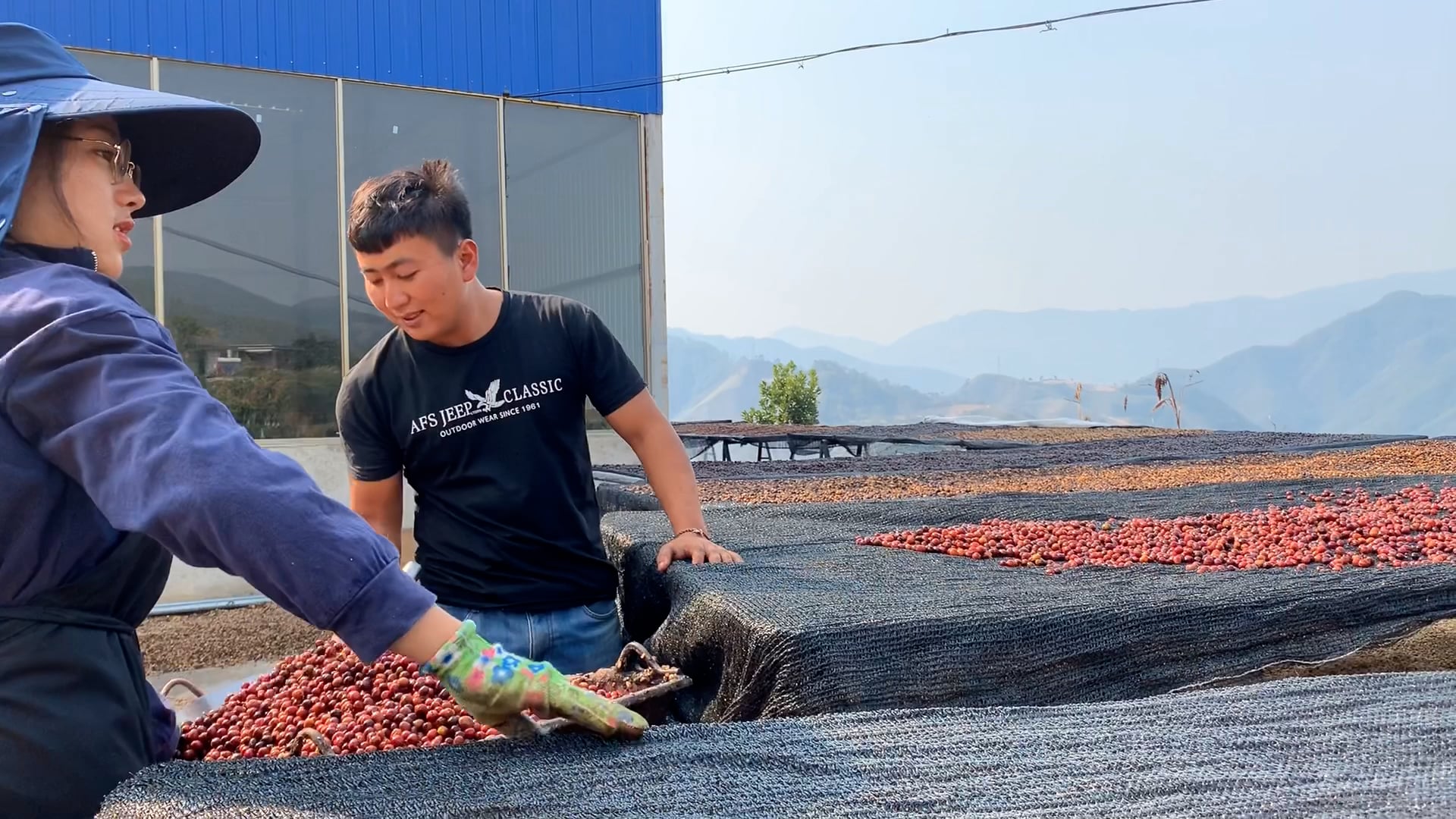 Premium Yunnan Coffee Supply - Singularity Coffee
