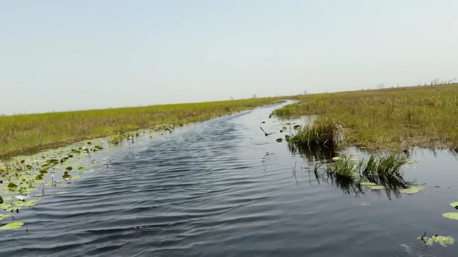 Traveling through The Sudd, Africa's Largest Wetland on Vimeo