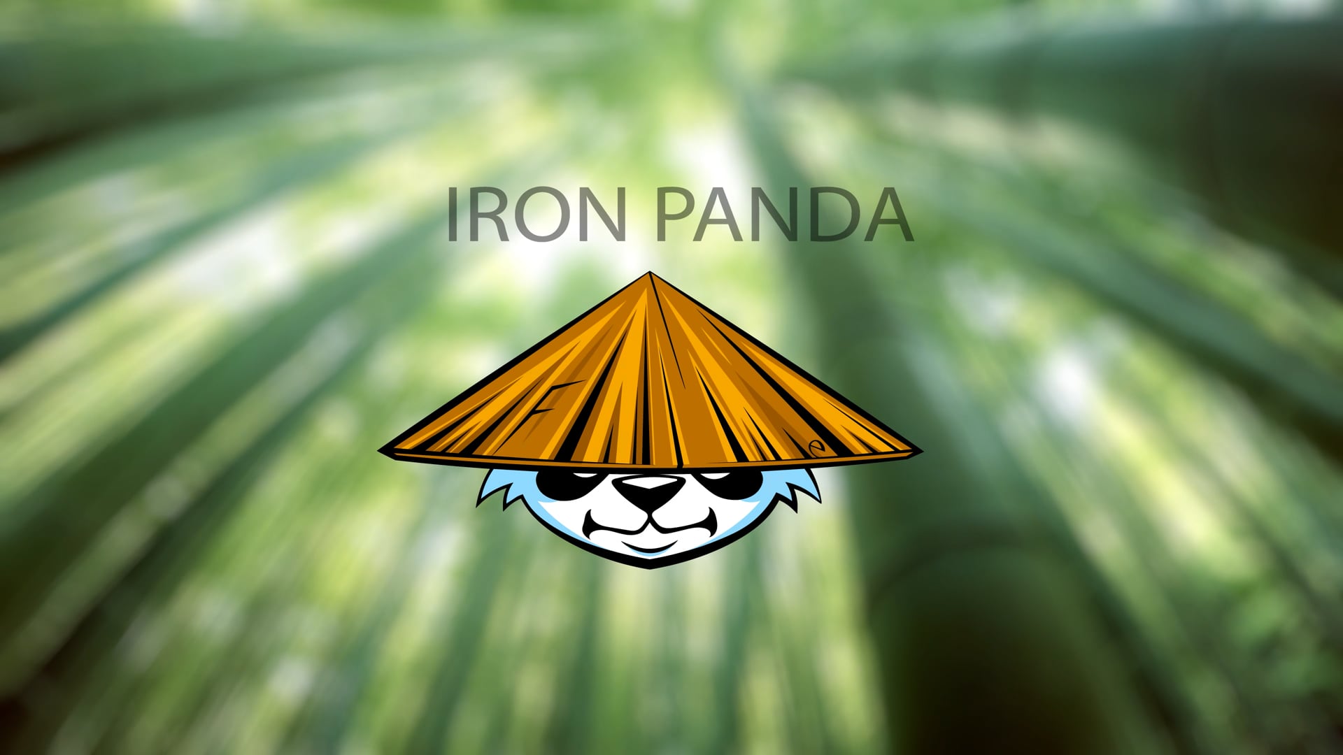 Iron Panda Studios - Graphic Design Logos Illustration Artwork Web ...