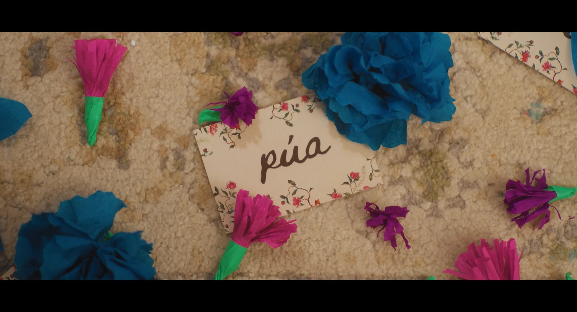 PÚA - María Díaz y Dorca Jiménez