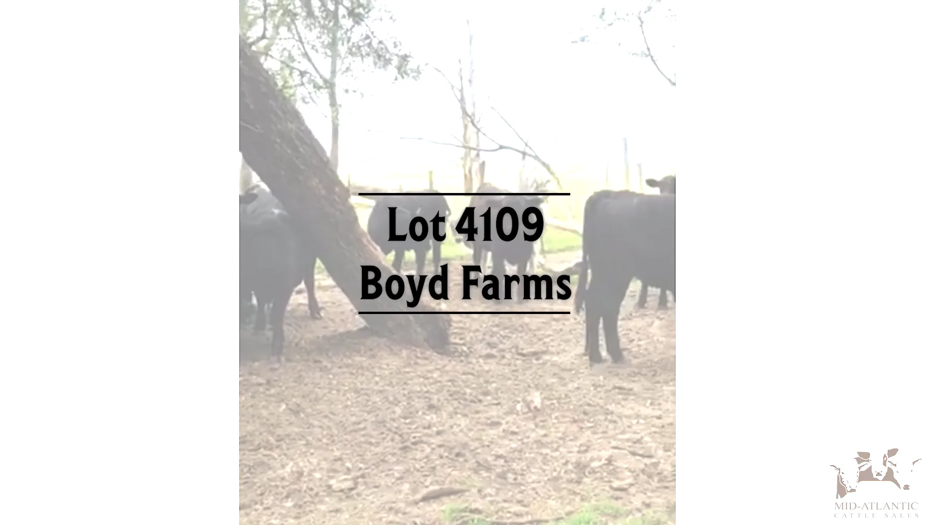 4109-Boyd Farms on Vimeo