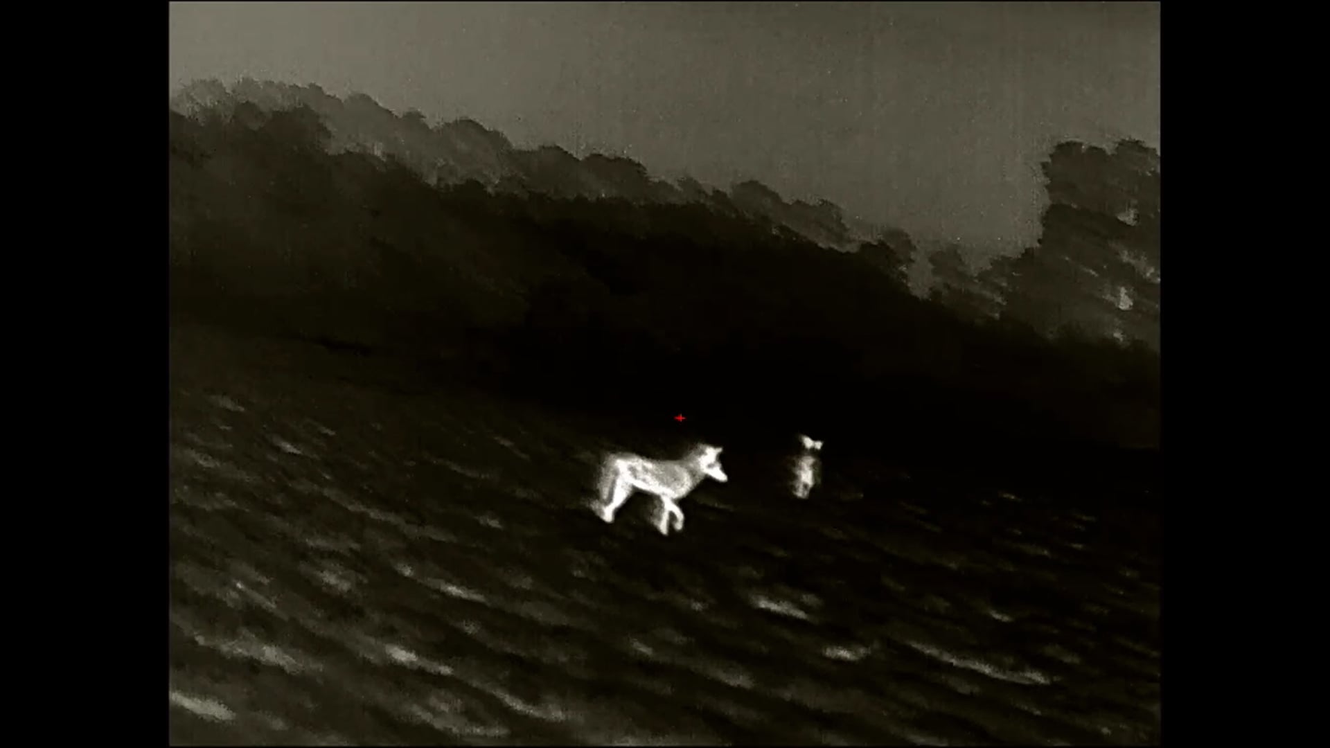 Still Moving Forward LLC