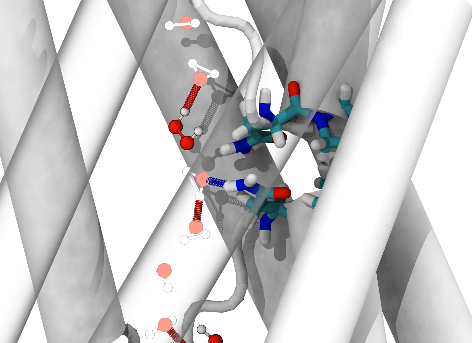Hydrogen bonding network of Hydrogen Peroxide and Water with MtPIP2;3 NPA