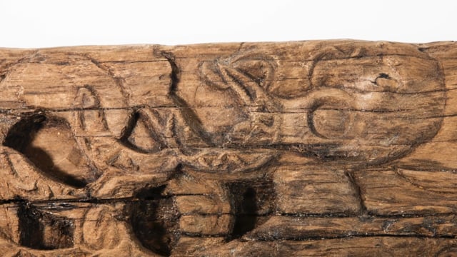 Designs and symbols from the taiao — Science Learning Hub