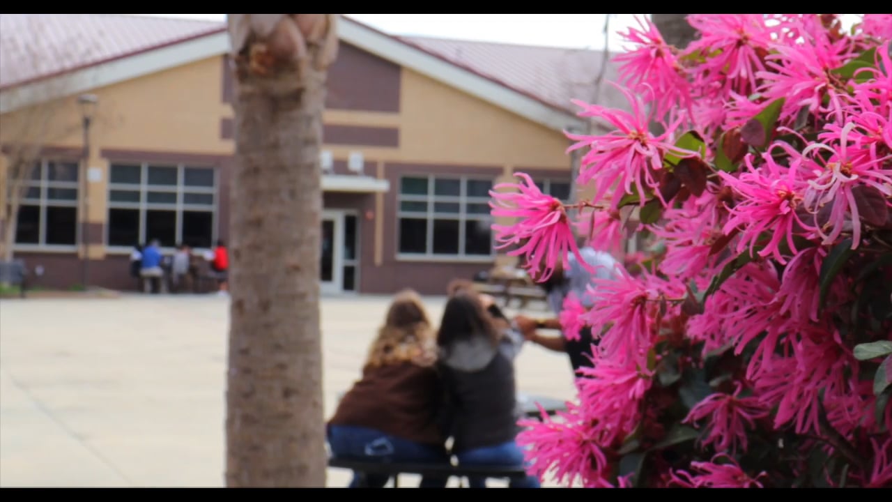 Expand & Enrich Learning