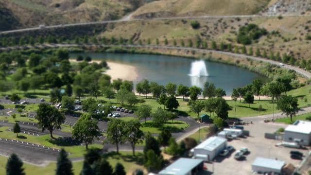 The (small-scale) City of Trees on Vimeo