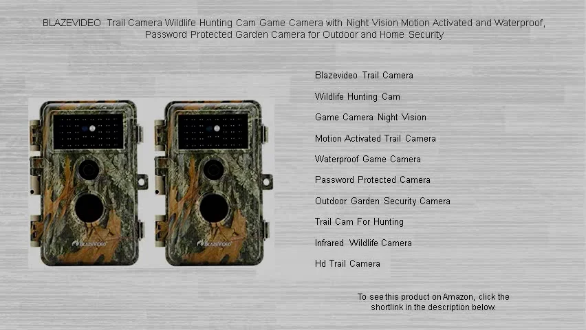 BLAZEVIDEO Trail Camera Wildlife Hunting Cam Game Camera with Night ...