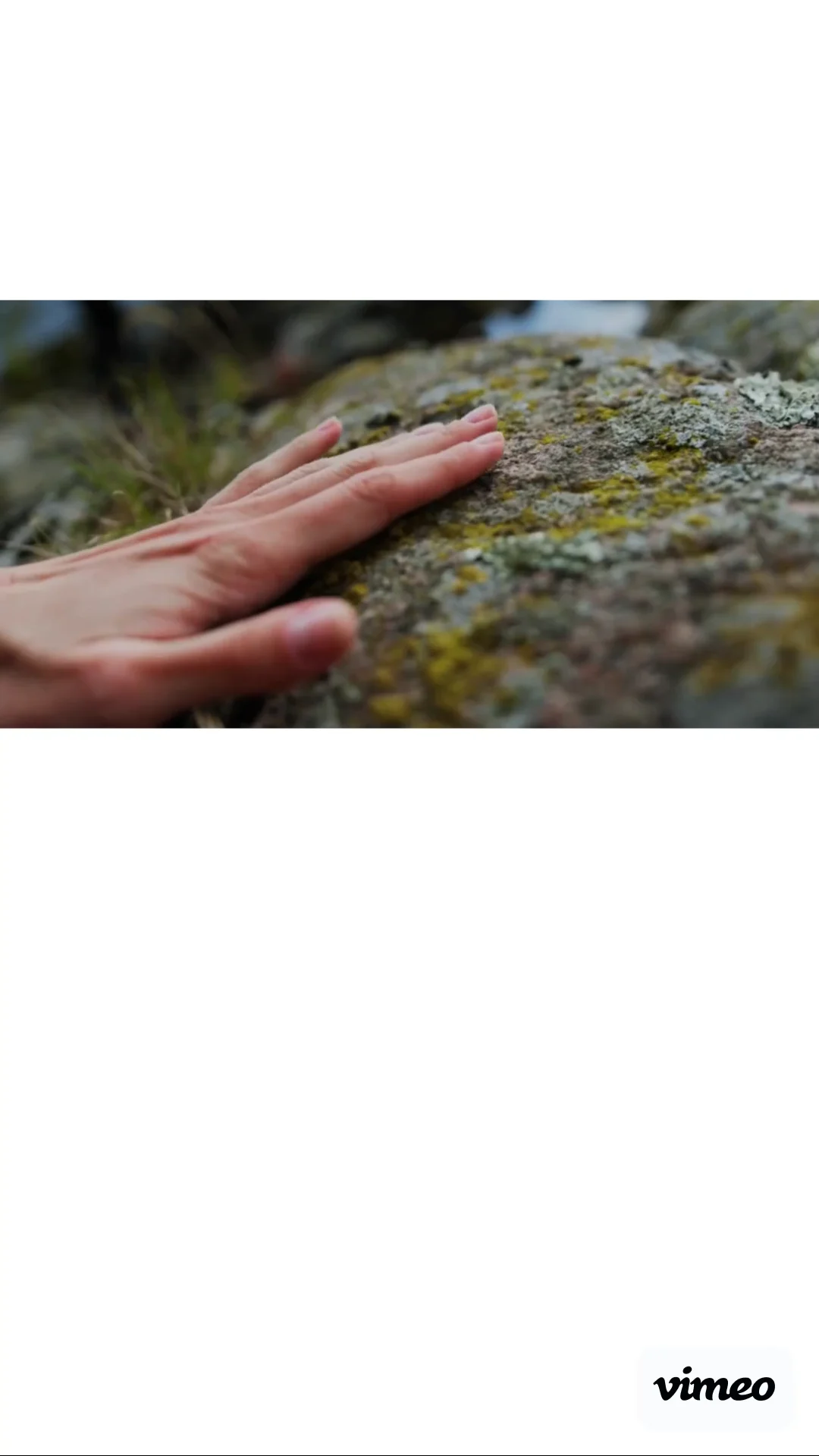 hand (Copy) on Vimeo