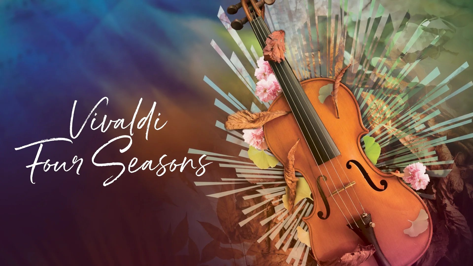 Vivaldi Four Seasons Preview on Vimeo