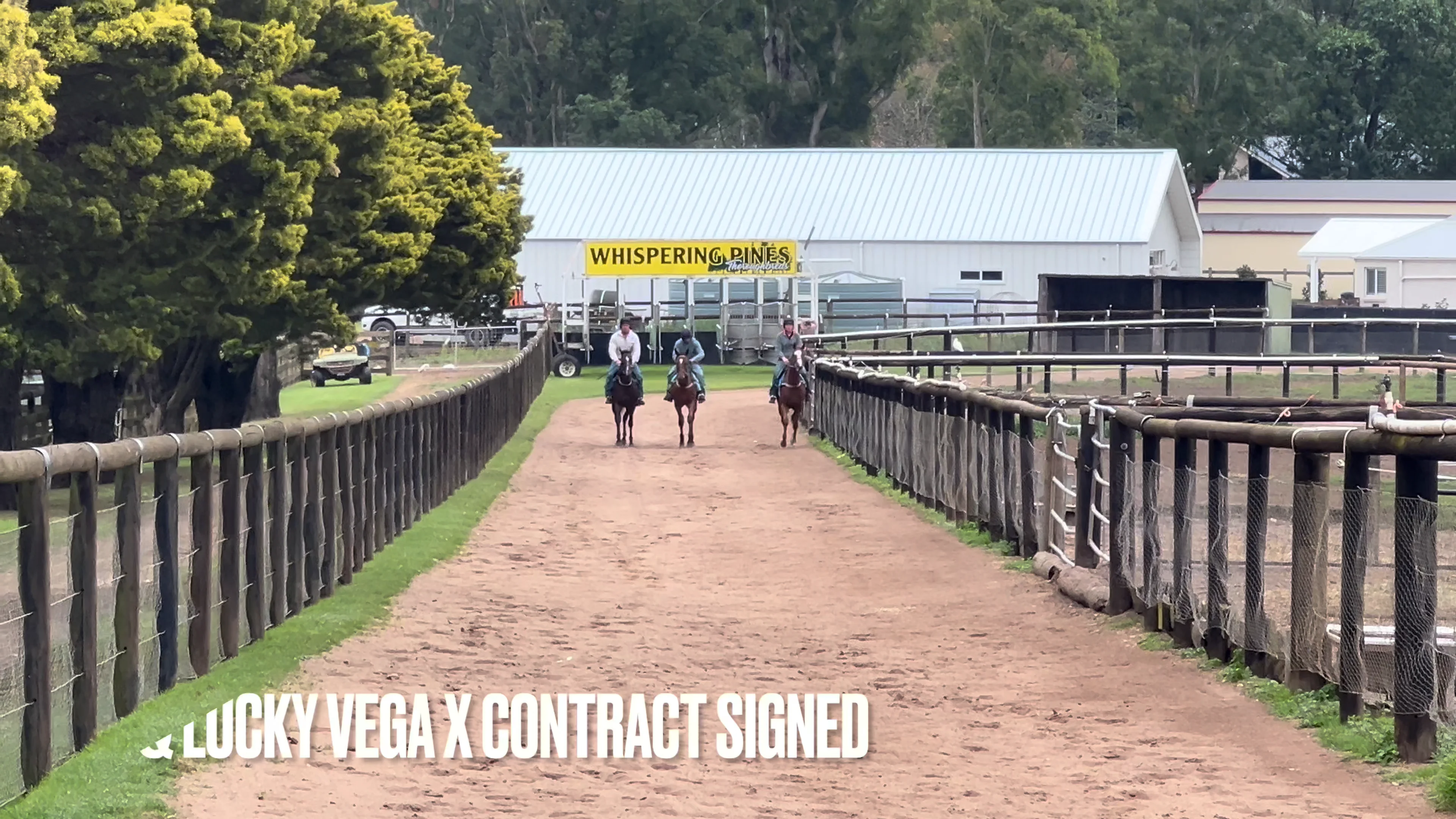 TRAPEZE ARTIST x PURITY & LUCKY VEGA X CONTRACT SIGNED - Final Breaker ...