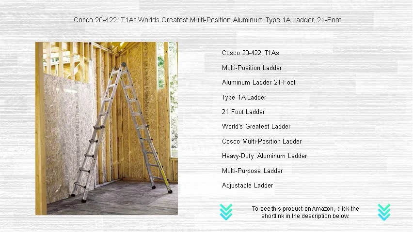 Cosco 20-4221T1As Worlds Greatest Multi-Position Aluminum Type 1A ...