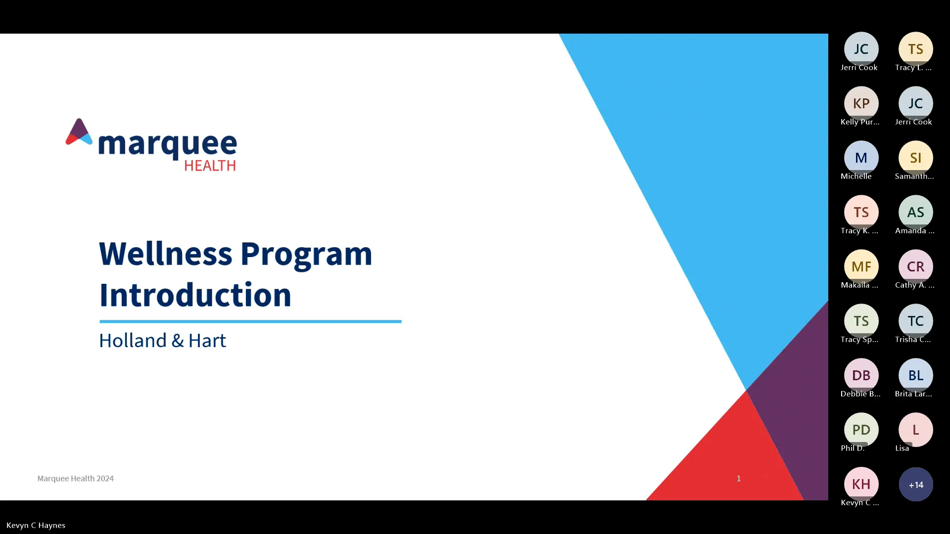 Marquee Health- Introduction & Portal Demo-20240402_123230-Meeting ...