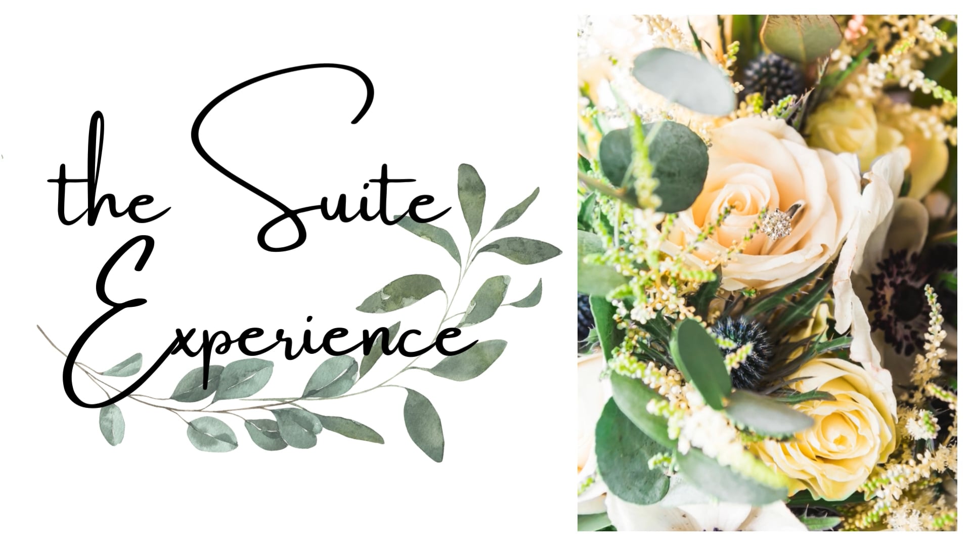 the Suite Experience