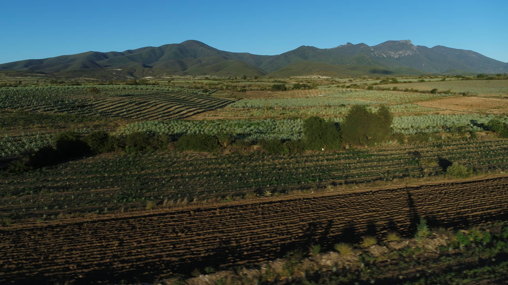 DJI_0031 on Vimeo DJI_0031 on Vimeo
