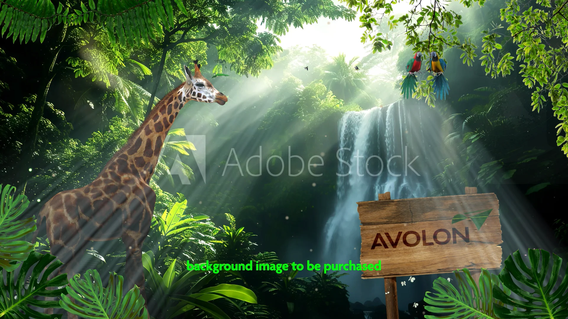 001 Jungle Look 1 on Vimeo