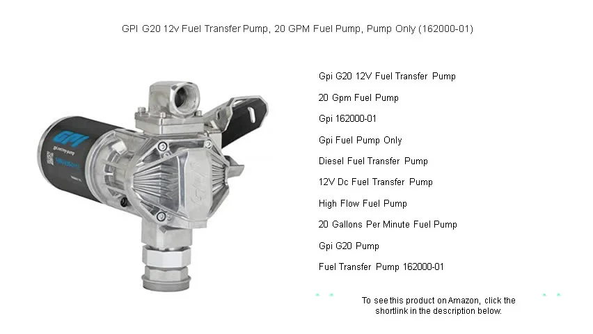 GPI G20 12v Fuel Transfer Pump, 20 GPM Fuel Pump, Pump Only (162000-01 ...