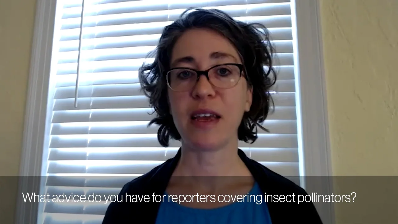 Dr. Rachel Mallinger: Advice for reporters on Vimeo