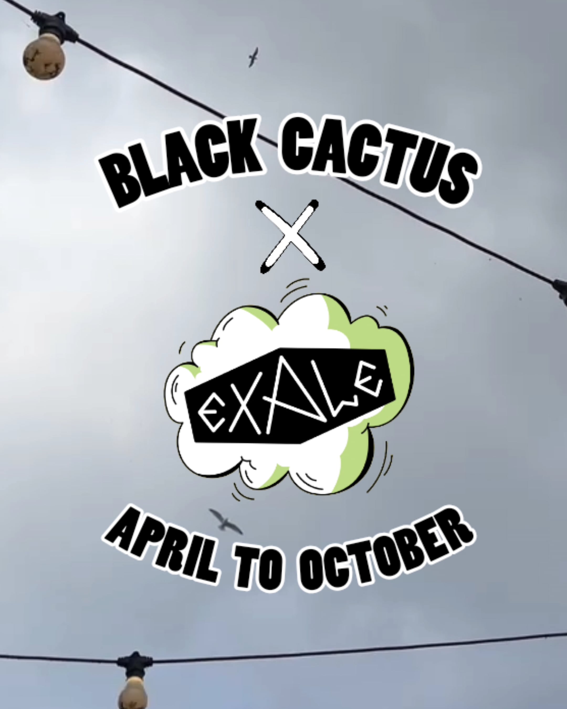 BLACK CACTUS COFFEE SMOKE - Bbq, Food and Drink, Smoke, Bbq