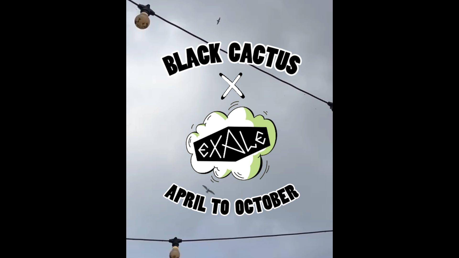 BLACK CACTUS COFFEE SMOKE - Bbq, Food and Drink, Smoke, Bbq