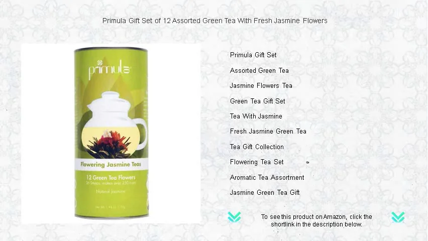 Primula Gift Set of 12 Assorted Green Tea With Fresh Jasmine Flowers on ...