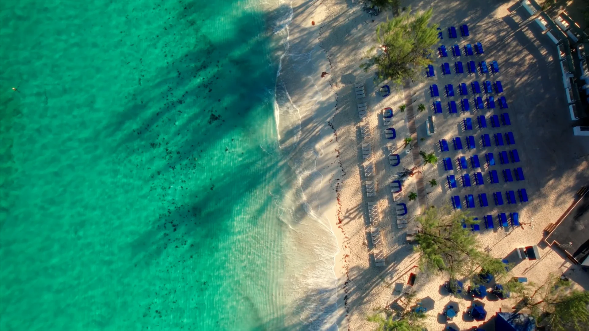 Exquisite Turks & Caicos Wedding Film | Sandals Beach Resort | Drone ...