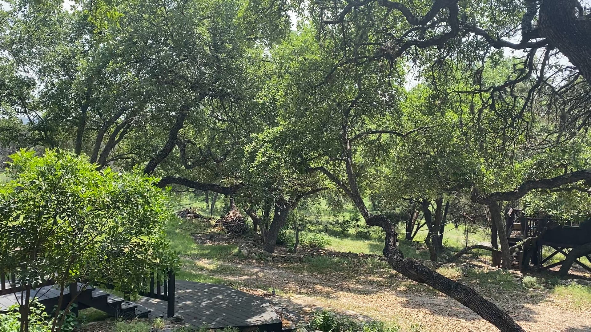 noble healing collective