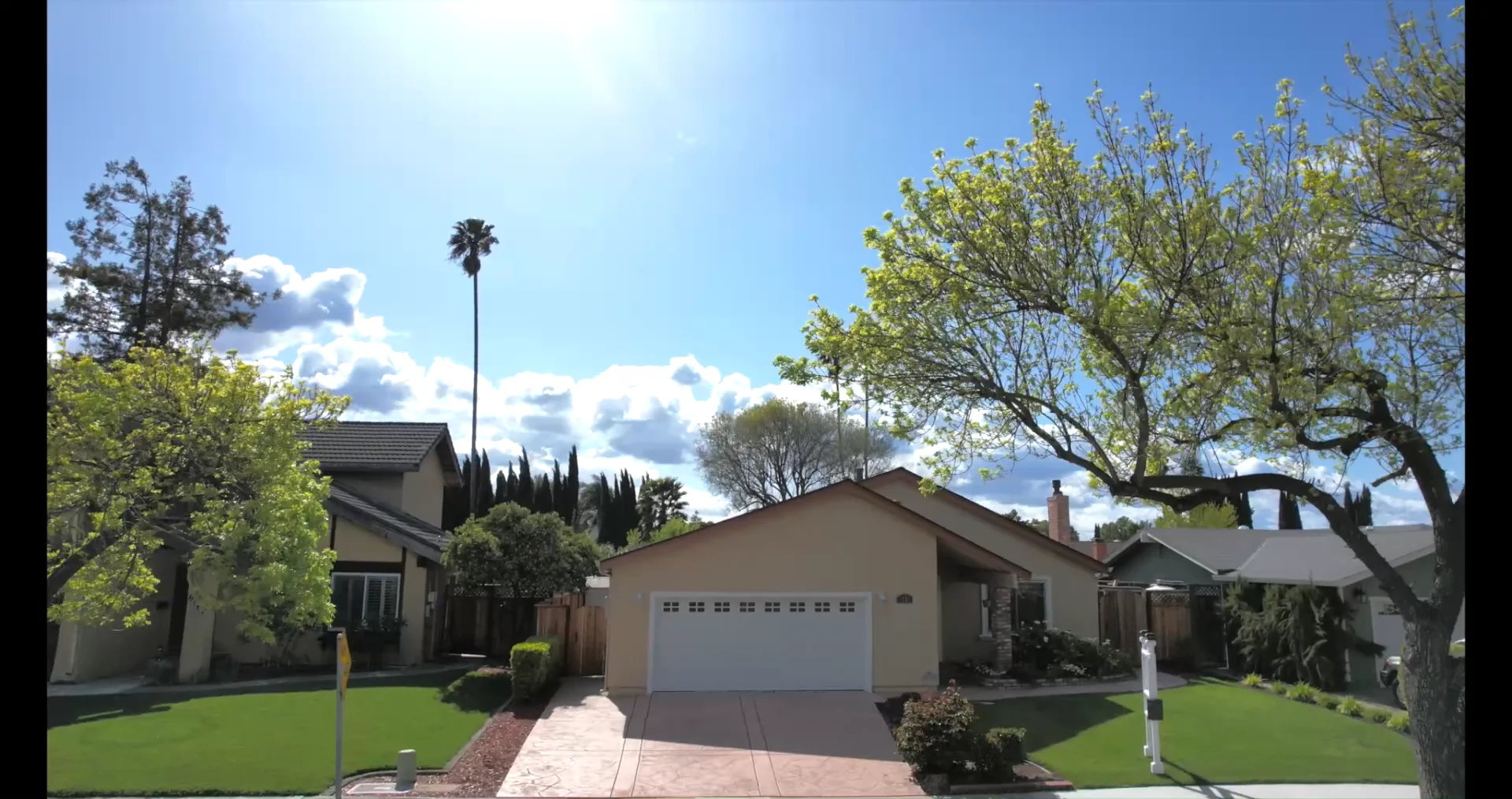 springer_music on Vimeo