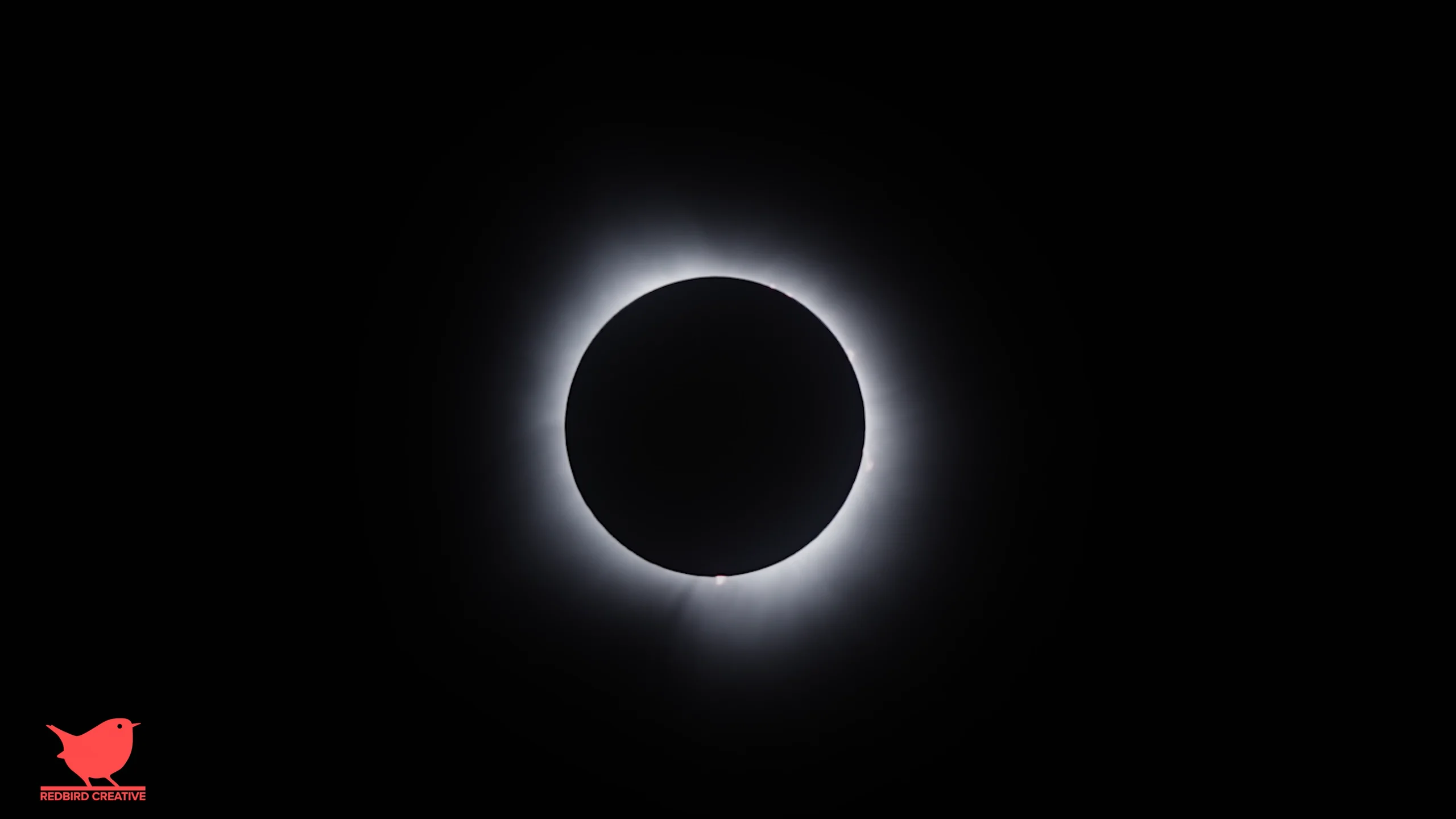 2024 SOLAR ECLIPSE - MOMENT OF TOTALITY on Vimeo