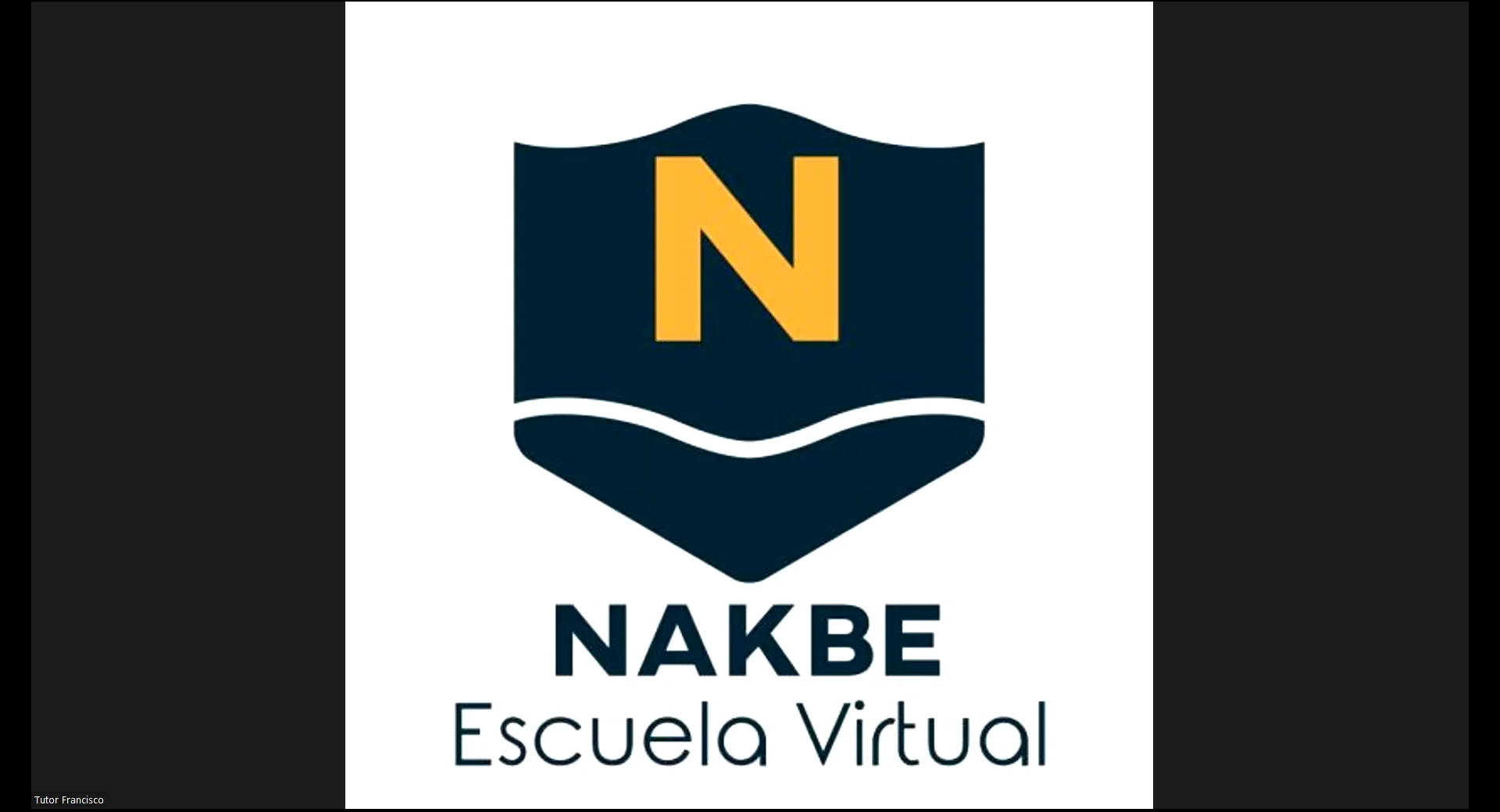 Video tutoría semana 11, áreas numéricas y humanísticas, 6SB, 10-04 ...