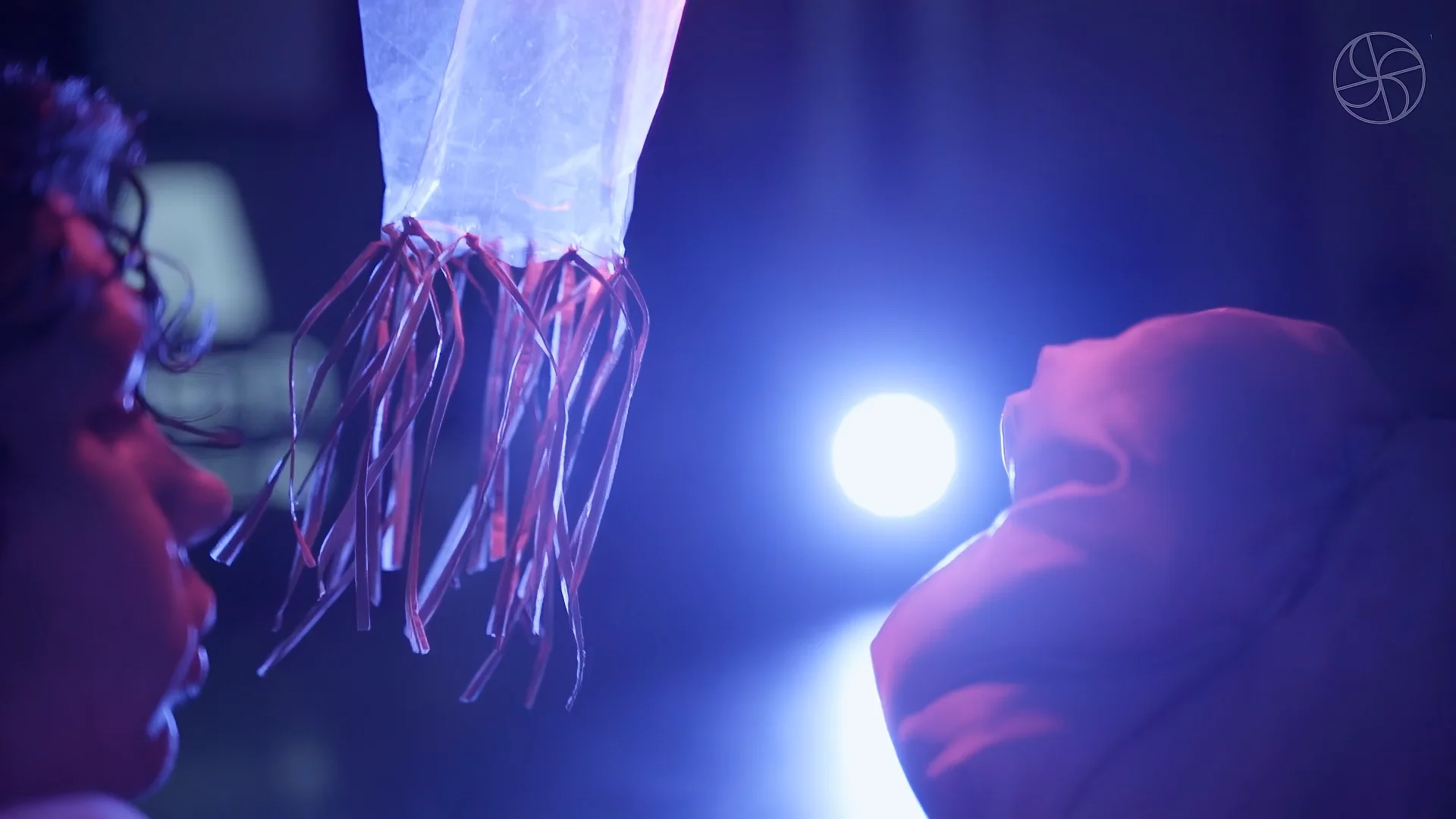 Moss Piglet | Creative Development 2024 on Vimeo