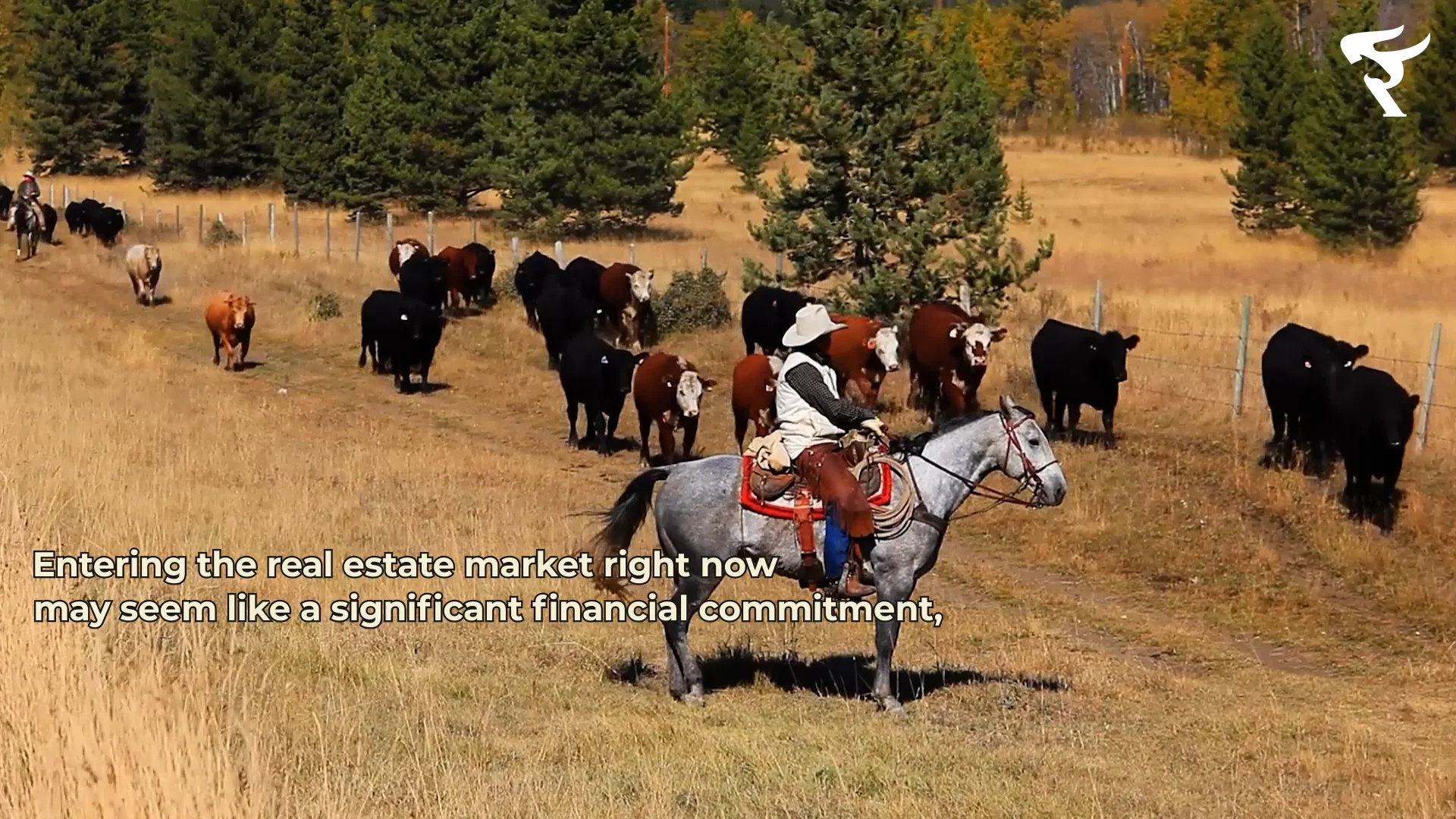 Direct Participation Program on Vimeo