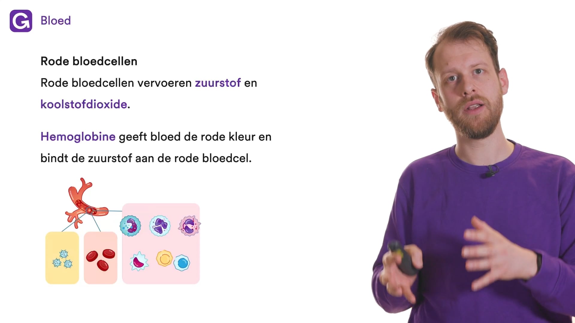 Oefen met Transport en afweer uit Biologie voor jou / bvj – 4 vmbo-t ...