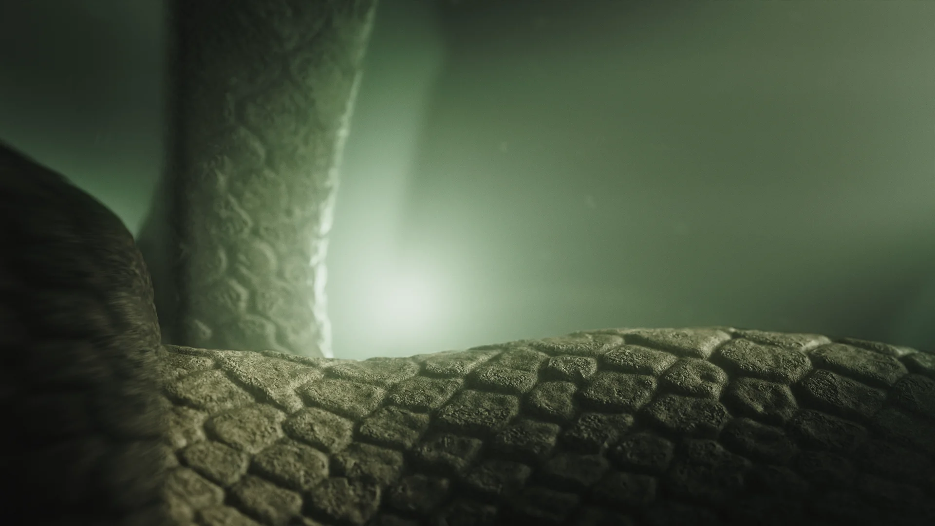 The Ark Title Sequence on Vimeo