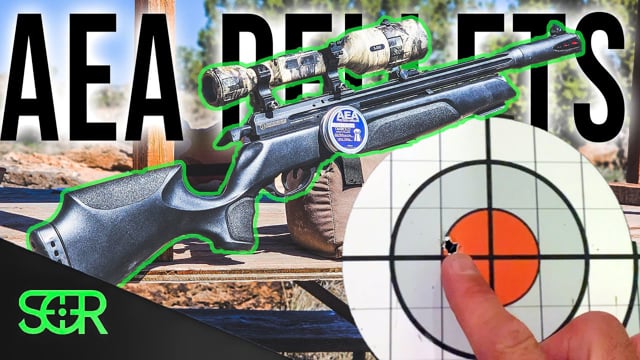 AWESOME AEA AMMO! AEA Pellets WORK GREAT in Gamo Arrow! - Airgun101