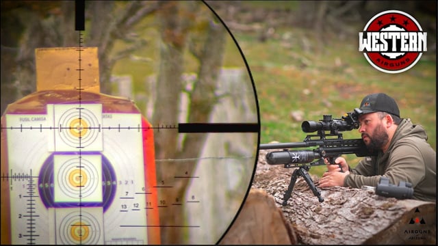Western Sidewinder 30 Review - Airgun101