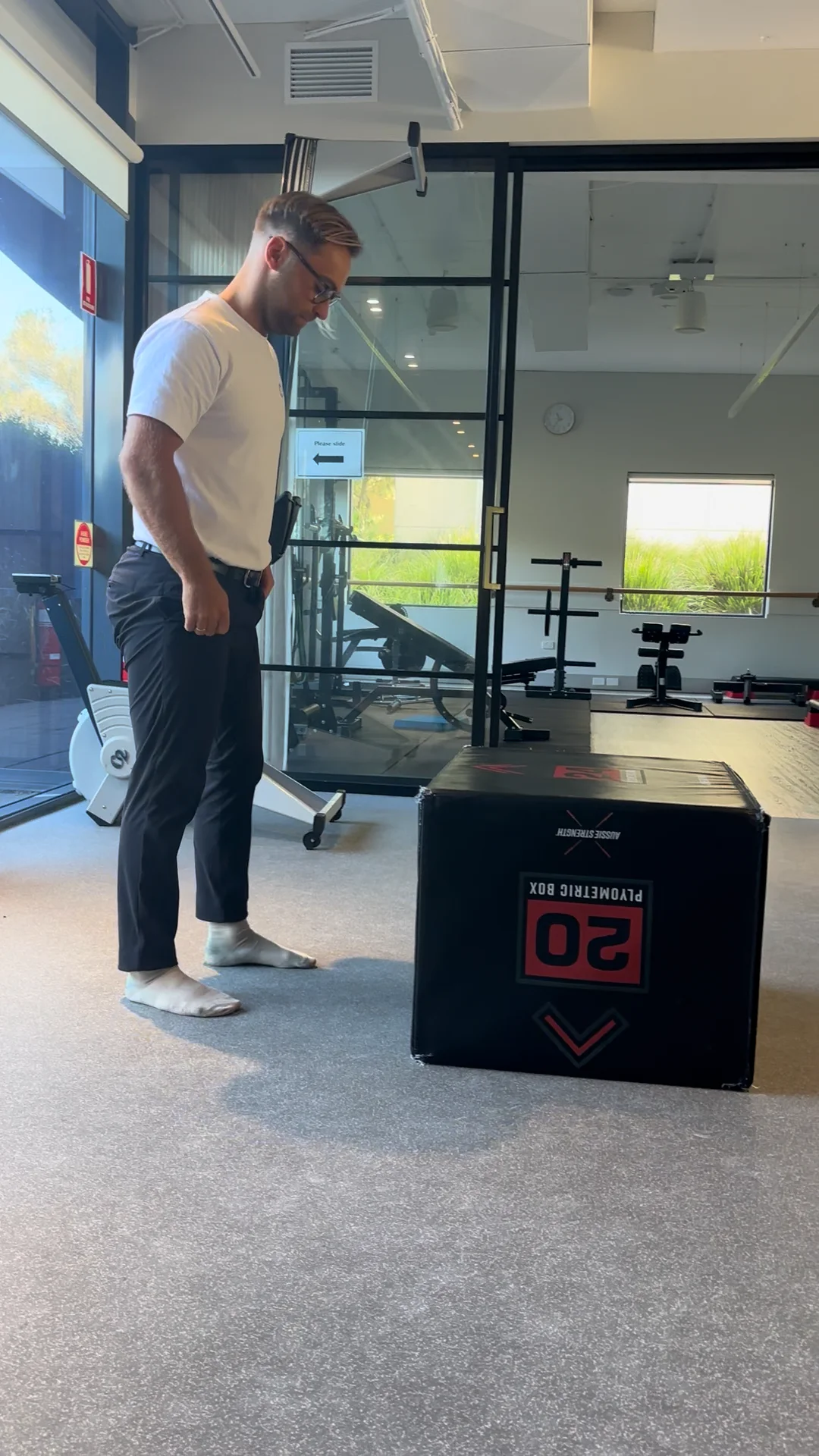 Box jumps 3 x 10 reps