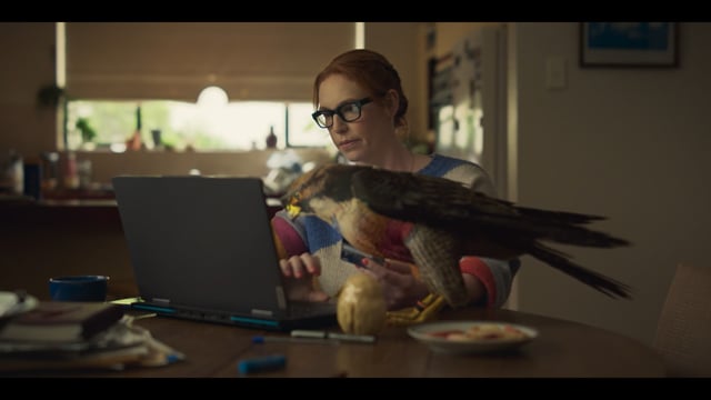 ANZ falcon returns in ‘DoppelFalcons’ via Special and PHD | Harro