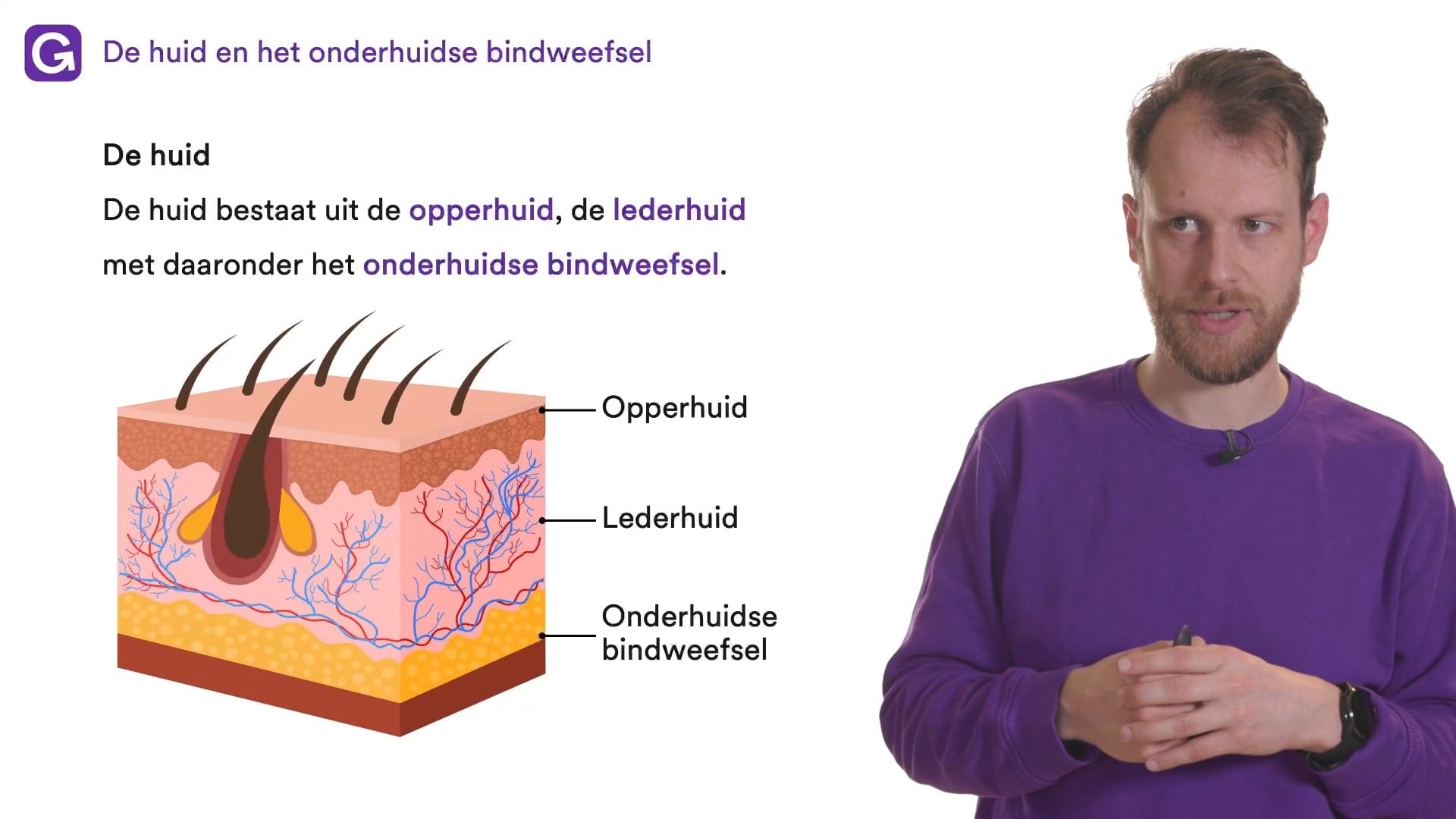 De huid en het onderhuidse bindweefsel oefenen | StudyGo