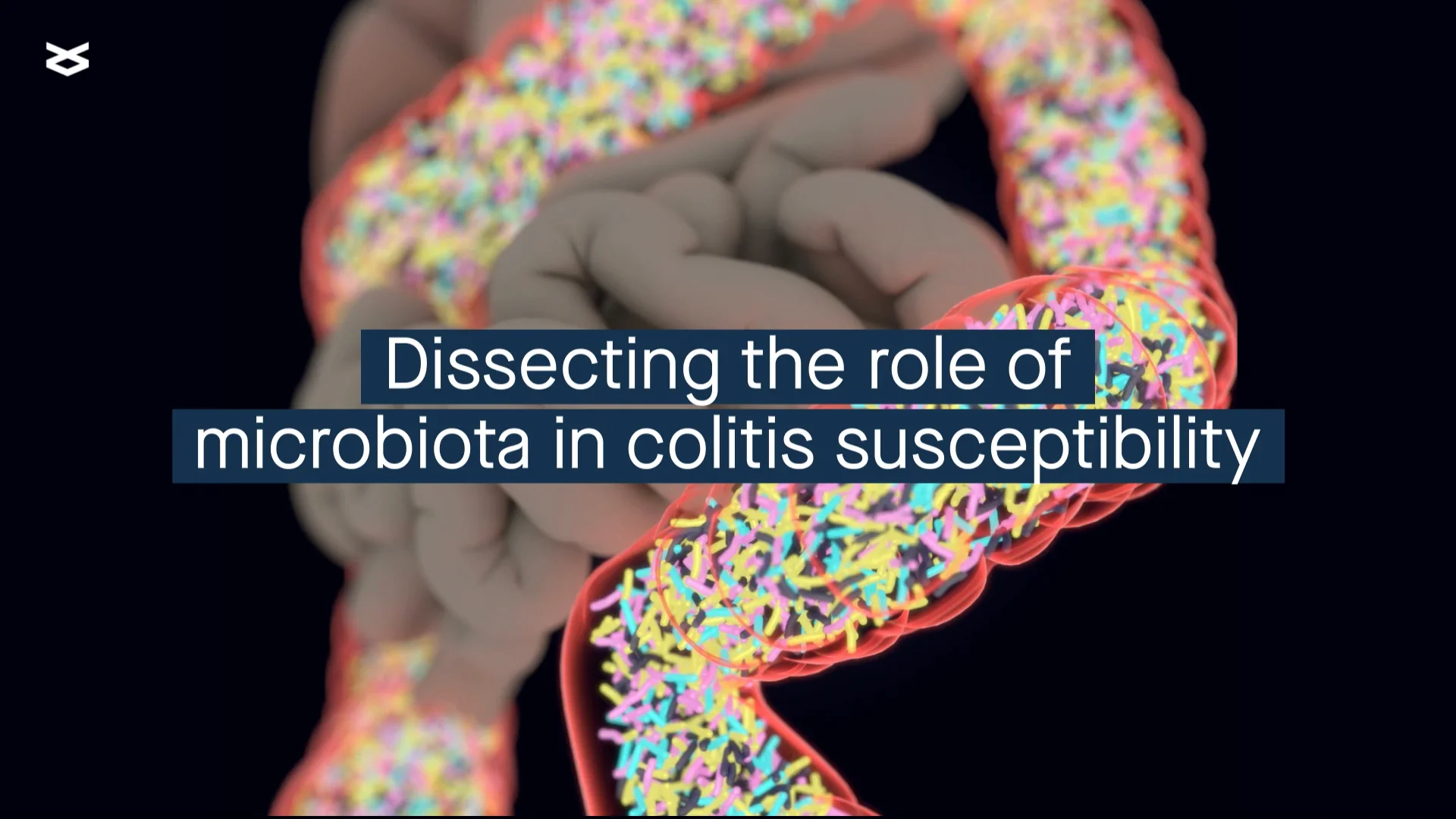 Exploring how host genetics and gut bacteria influence colitis ...