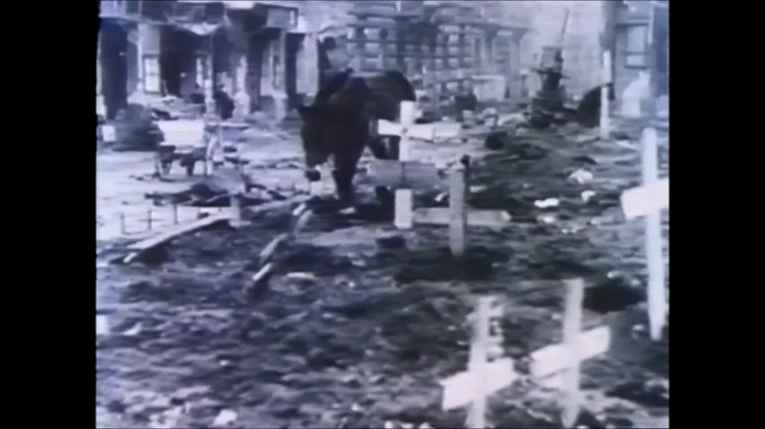 Watch Goodbye War Online | Vimeo On Demand on Vimeo