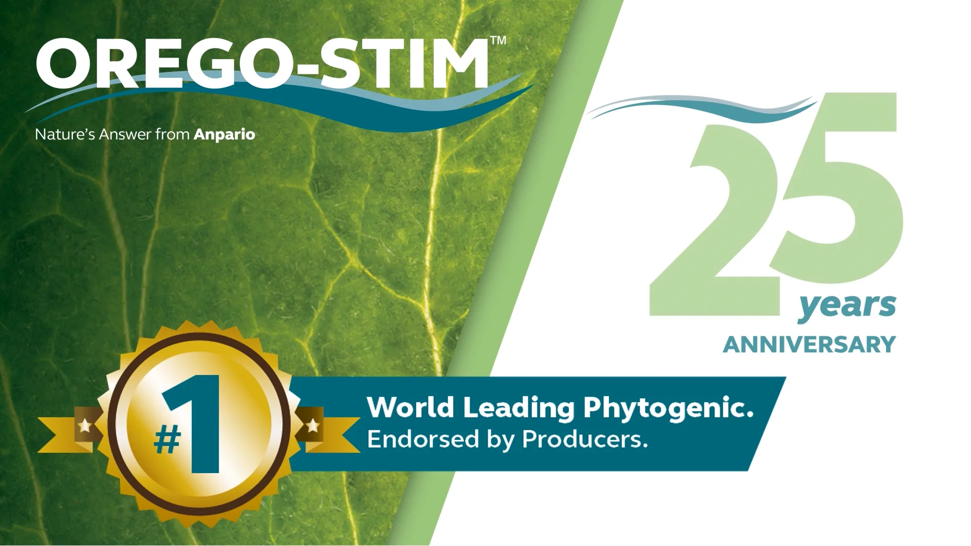 Celebrating 25 Years of Orego-Stim on Vimeo