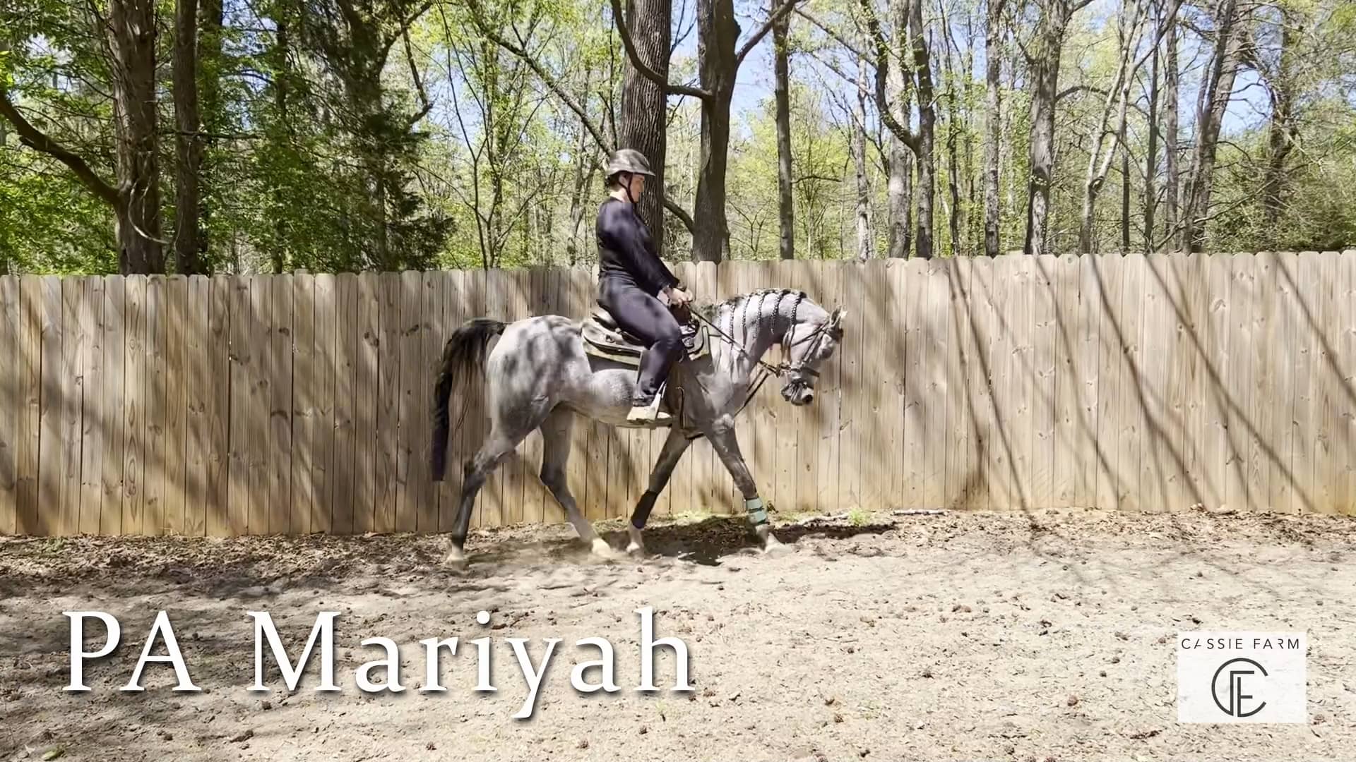 Mariyah Riding Update on Vimeo