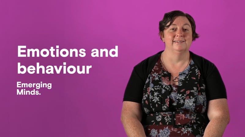 Understanding and supporting children's emotions and behaviour