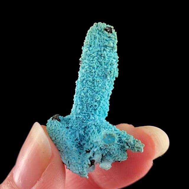 Mixed Mineral Auction!