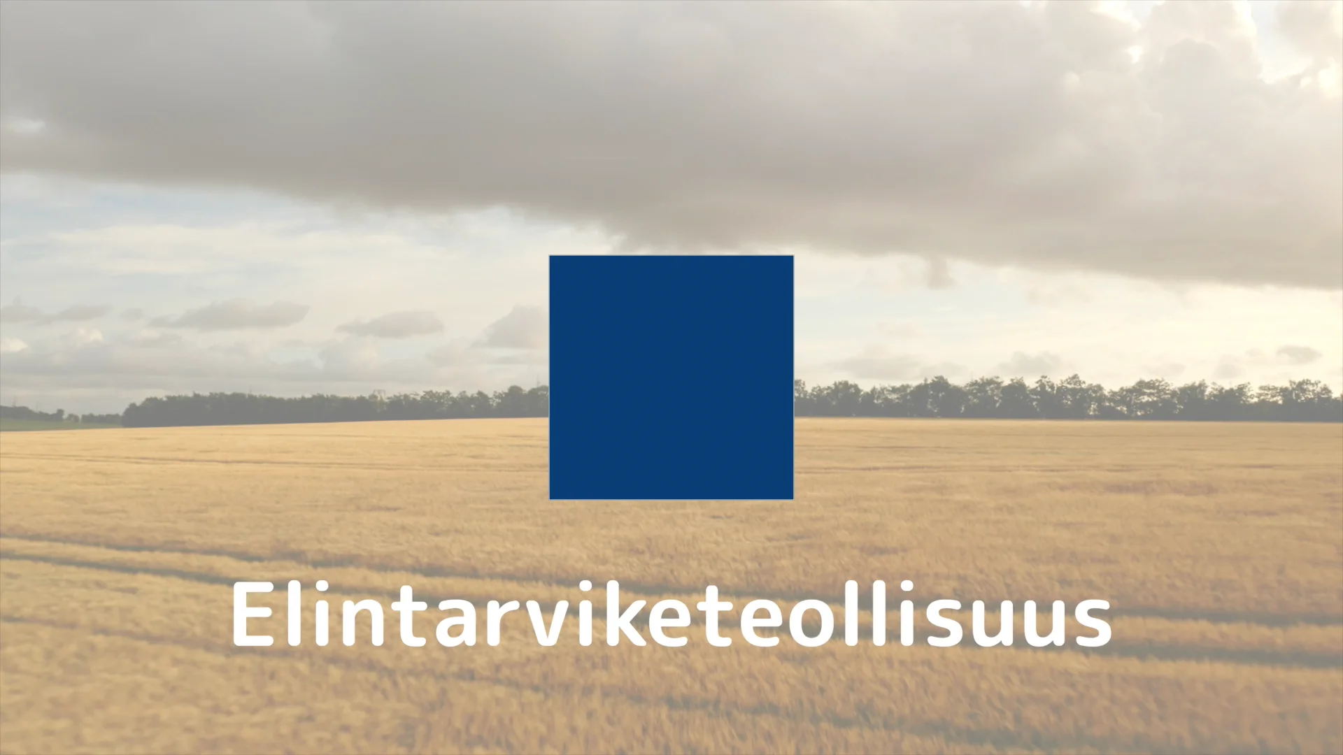 VID052_ABENA Industry_Food Industry_FI