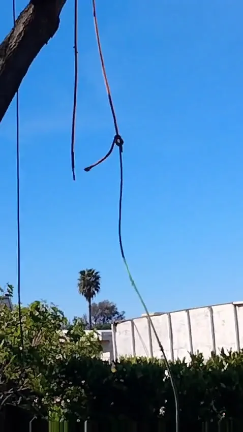 2 ropes lowering