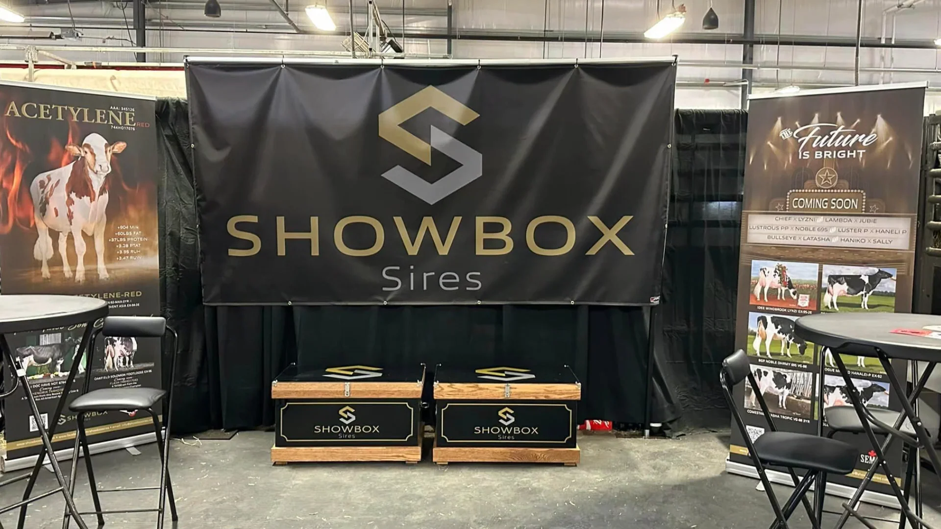 Showbox Sires One Year Update - Select Sires on Vimeo