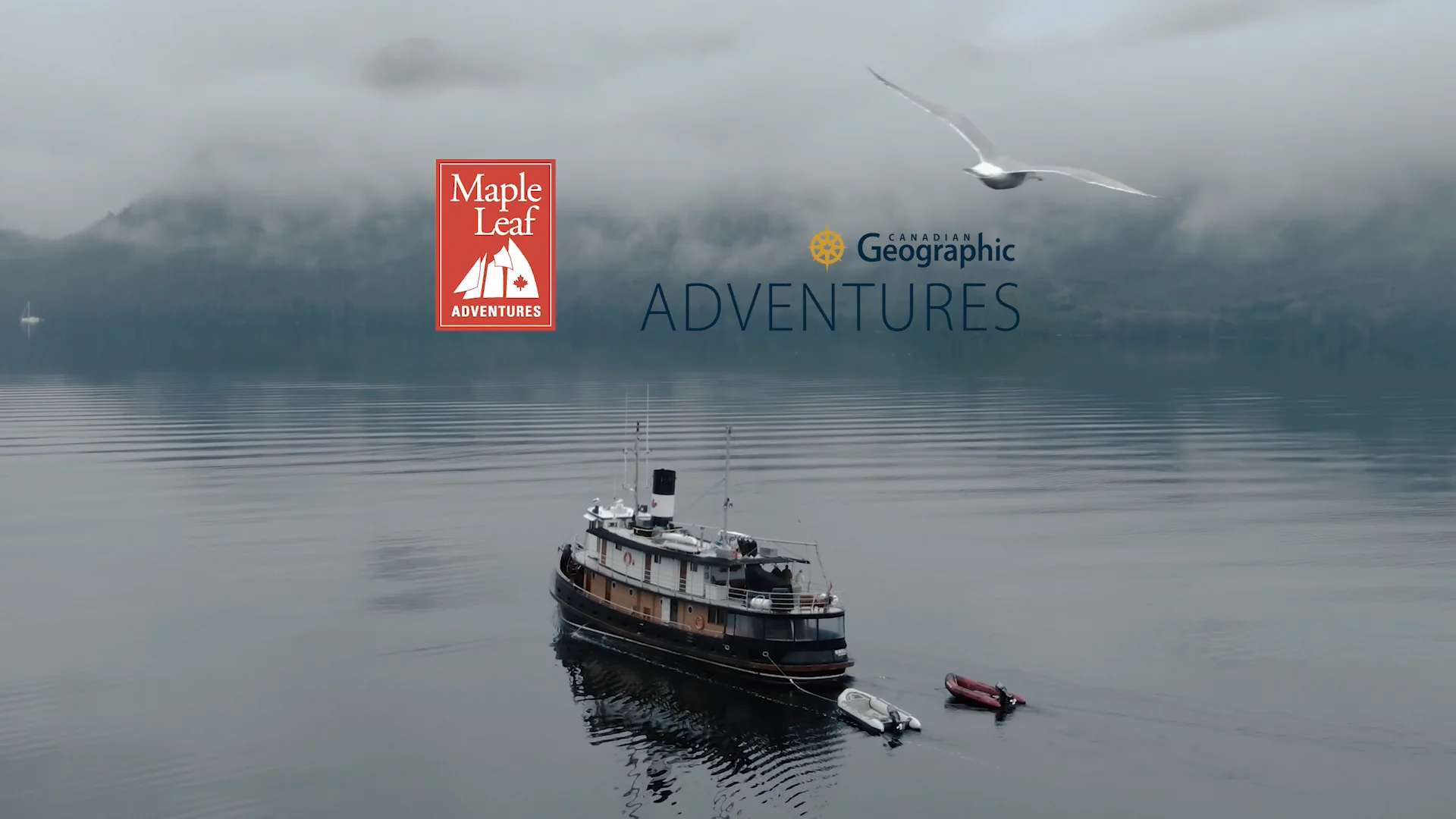 Alaska's Grandeur with Maple Leaf Adventures and Canadian Geographic