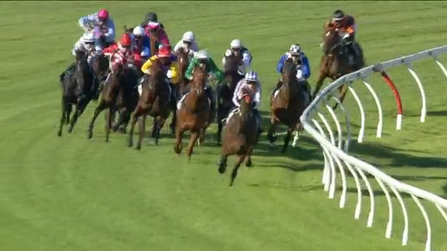 Lean Mean Machine - Stallion | Breednet