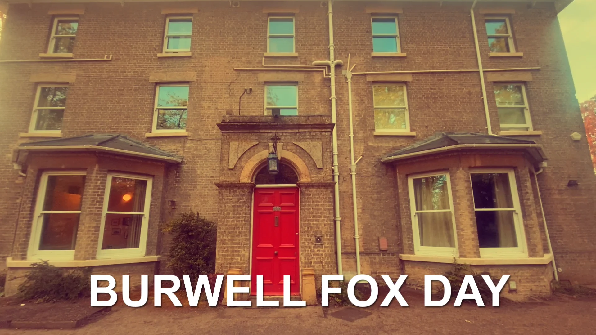 BURWELL FOX DAY